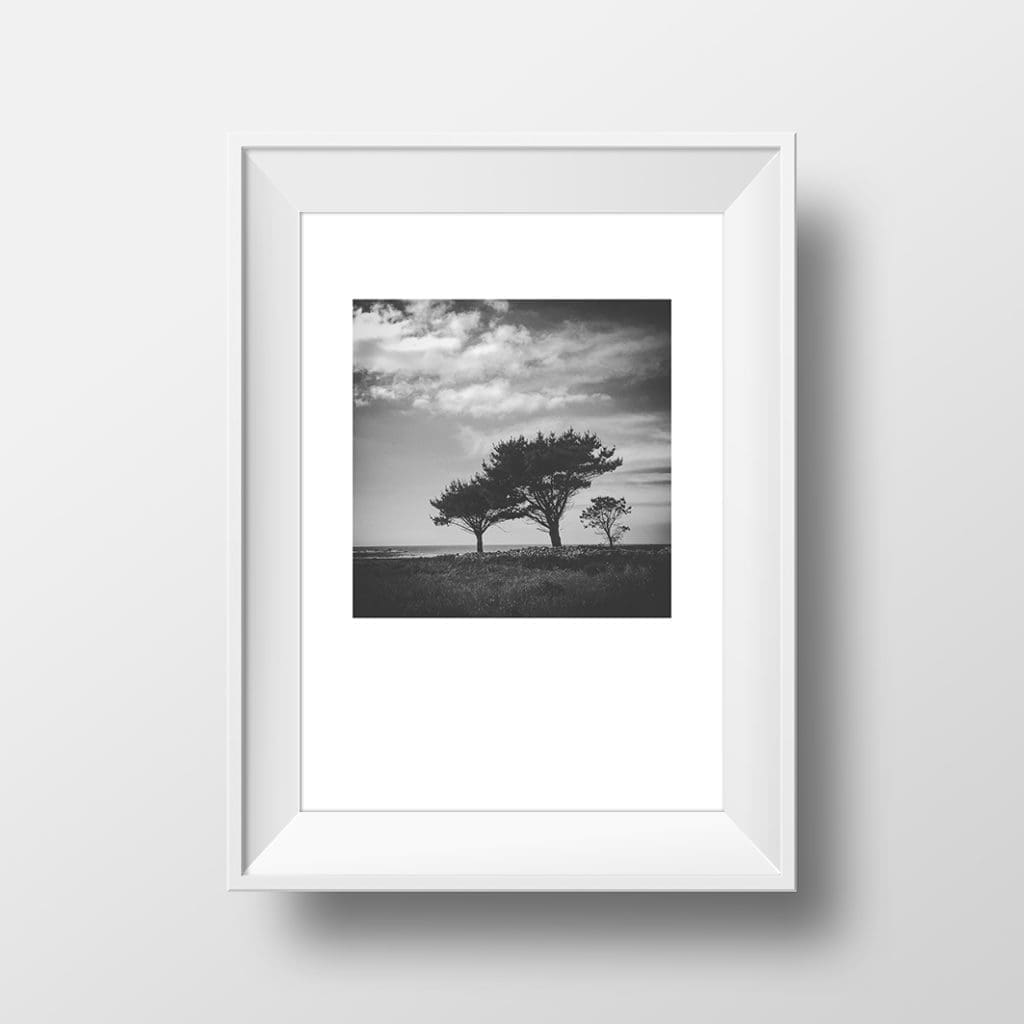 Impresión Glicée, Qué es exactamente y que podemos hacer utilizándola